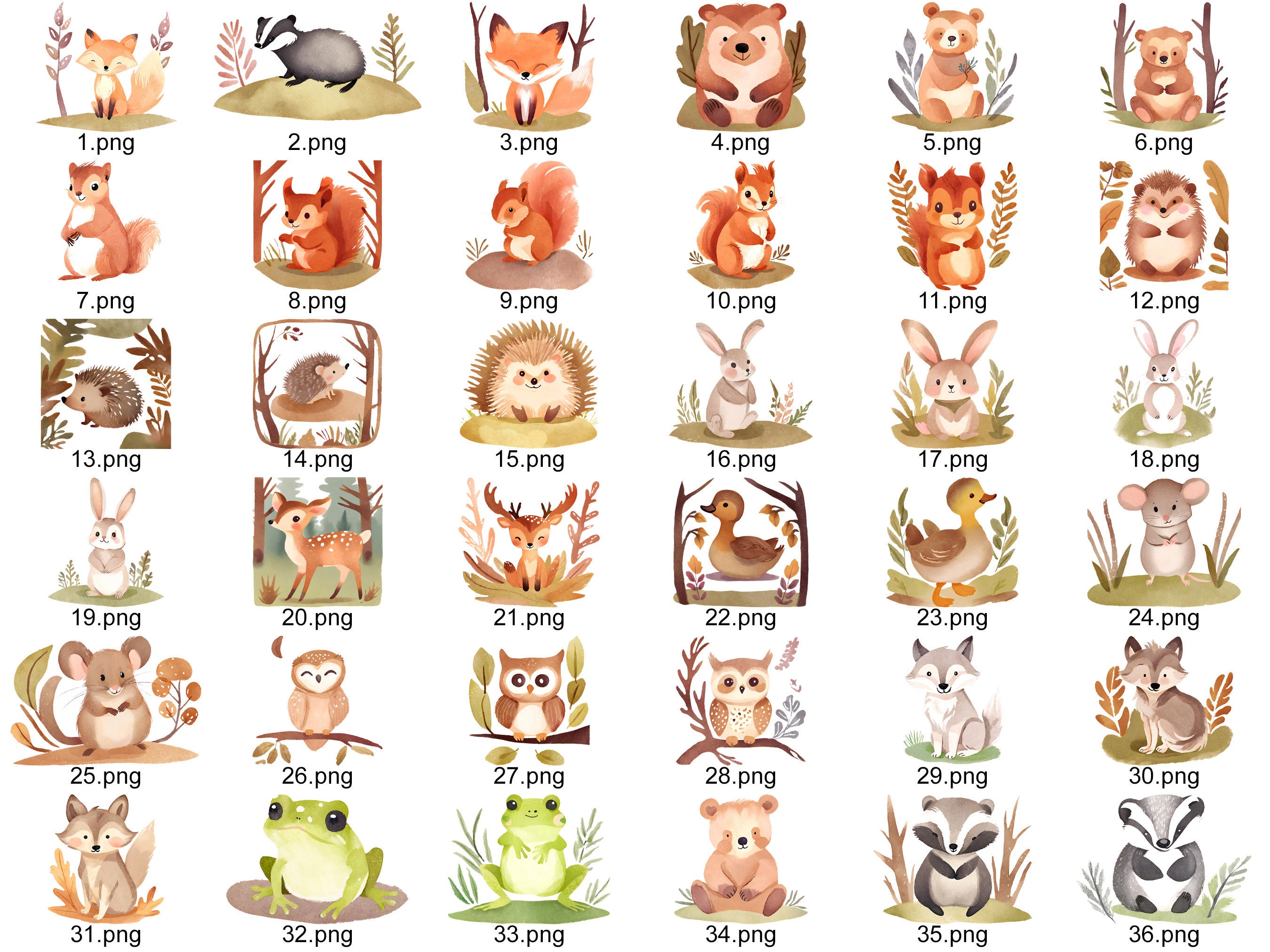 Watercolor Woodland Creatures 36 PNG Clipart Bundle, Instant Digital ...