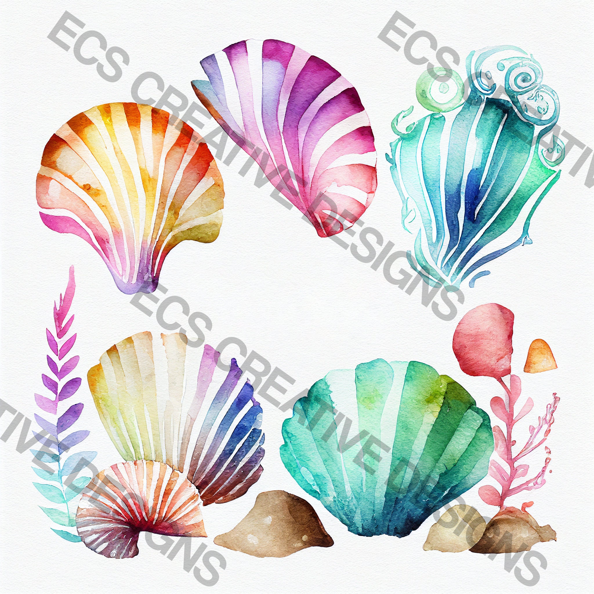 Watercolor Sea Shell Clipart Bundle, Commercial Use,instant Digital ...