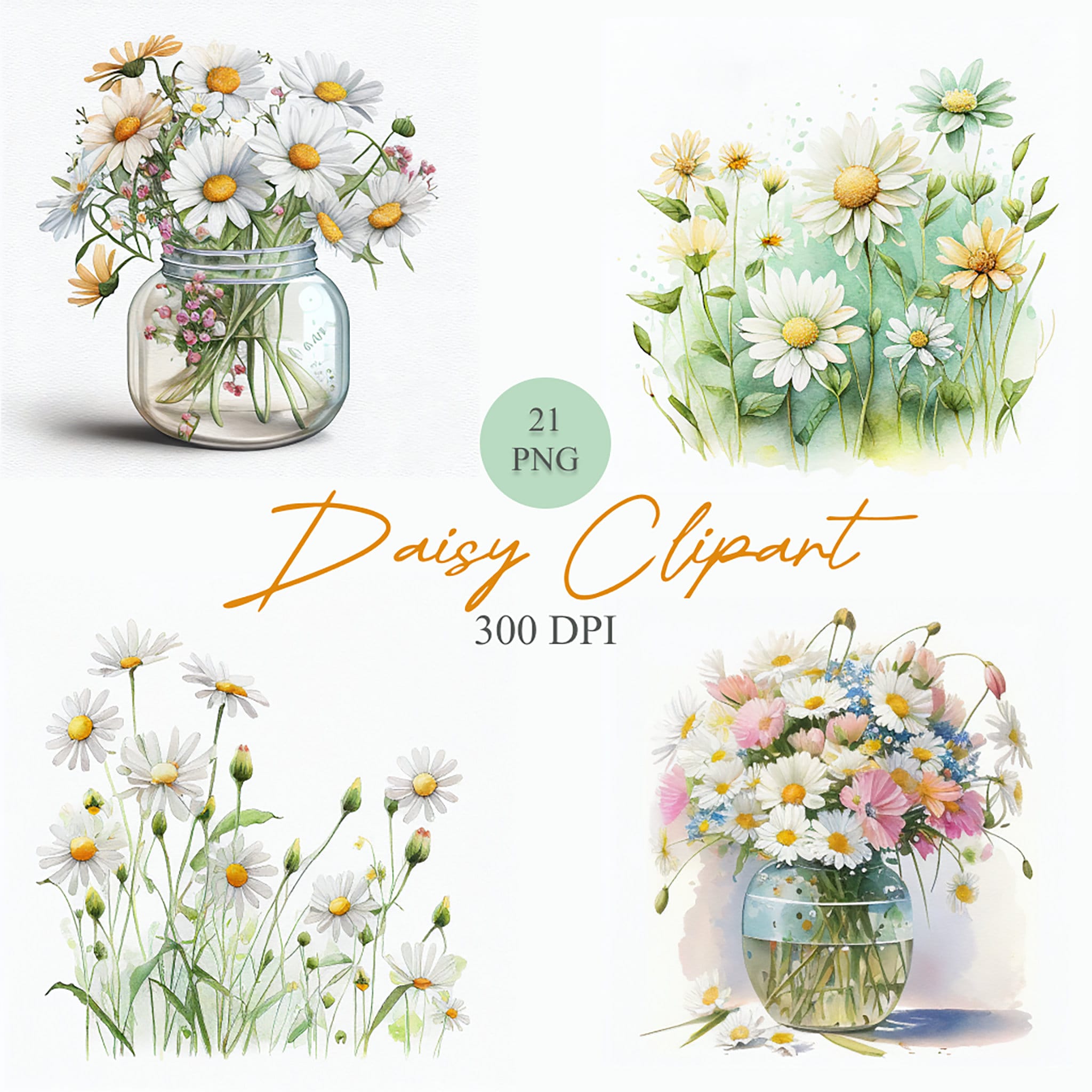 Watercolor Daisies Clipart PNG Bundle, Commercial Use, 300DPI, Vase ...