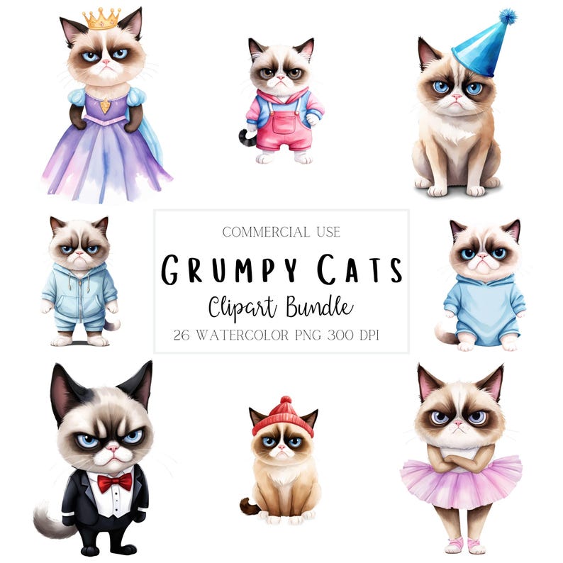 26 Grumpy Cats Dressed up PNG Clipart Bundle, Fun Designs of Cute ...