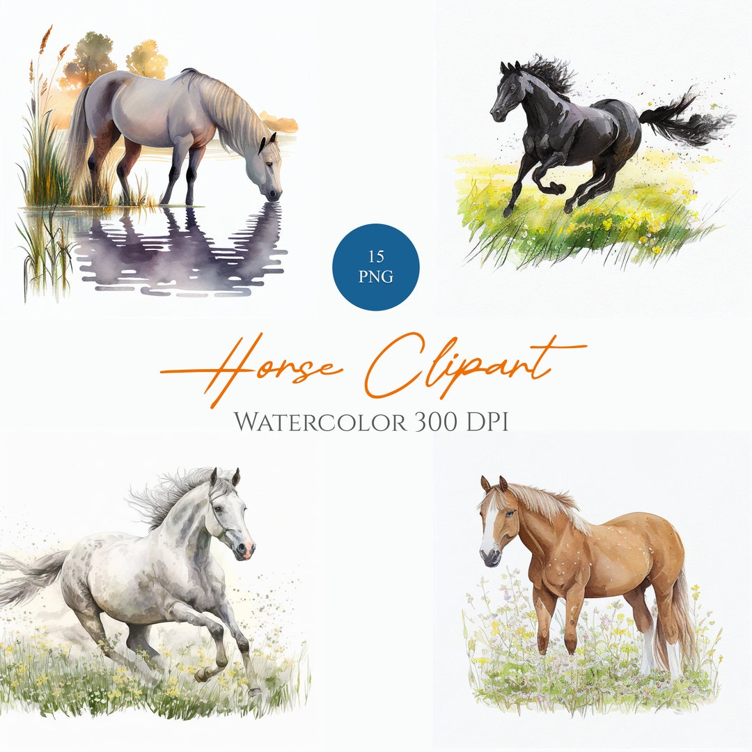 Horse Watercolor Clipart Bundle, Digital Download, Commercial Use, 300 ...