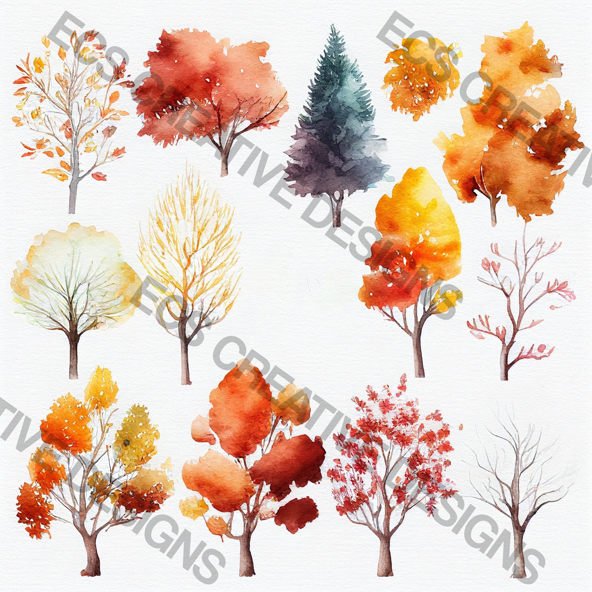 Watercolor Autumn Trees Clipart PNG Bundle, for Commercial Use, 300DPI ...