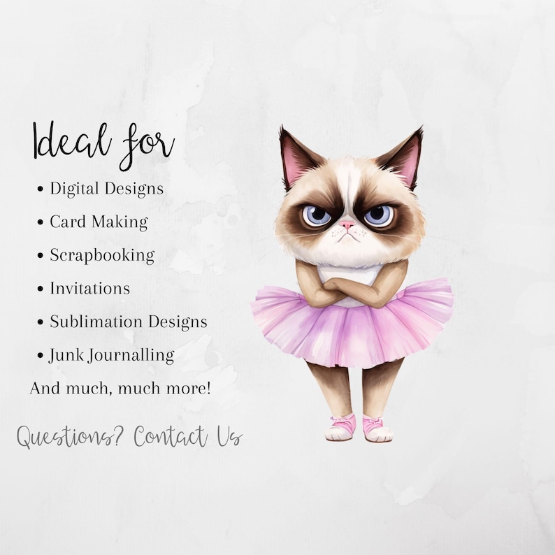26 Grumpy Cats Dressed up PNG Clipart Bundle, Fun Designs of Cute ...