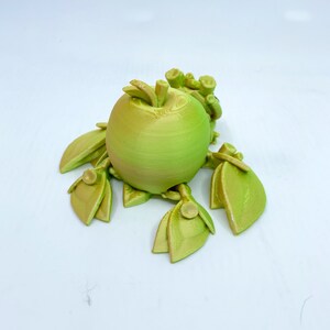 Apple Turtle Articulated Fidget Toy 3D Printed Cinderwing 3D Authorized ...