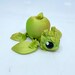 Apple Turtle Articulated Fidget Toy 3D Printed Cinderwing 3D - Etsy