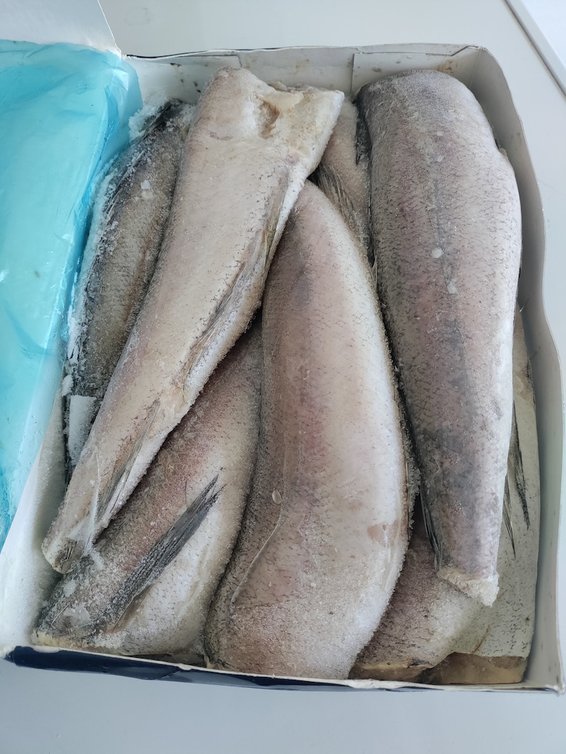 Fresh Hake/whitting Fish 5lb - Etsy