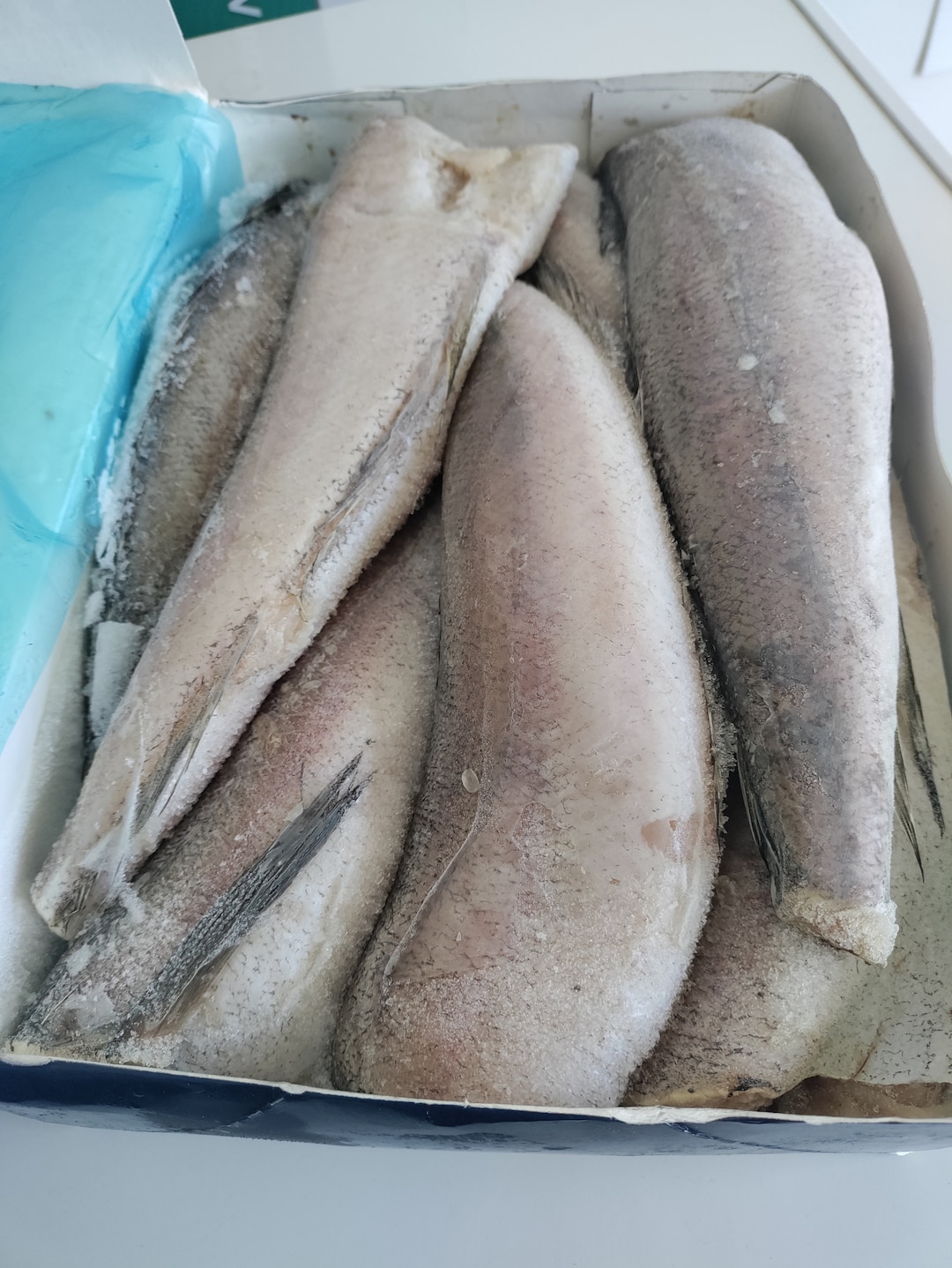 Fresh Hake/whitting Fish 5lb - Etsy