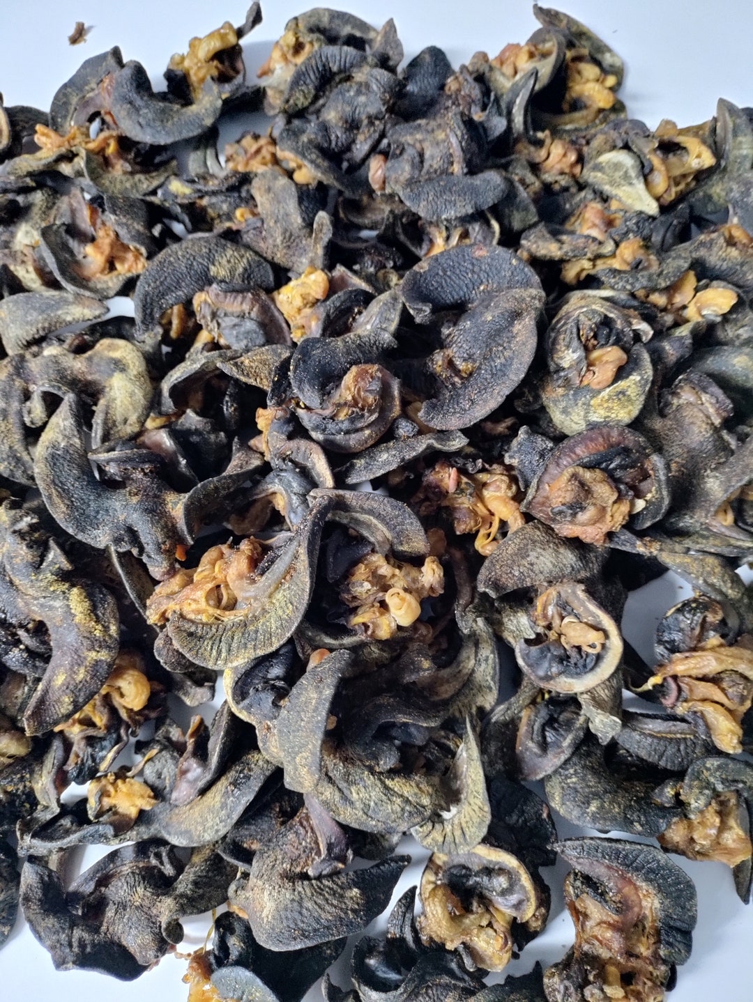 Dried Snail Igbin - Etsy