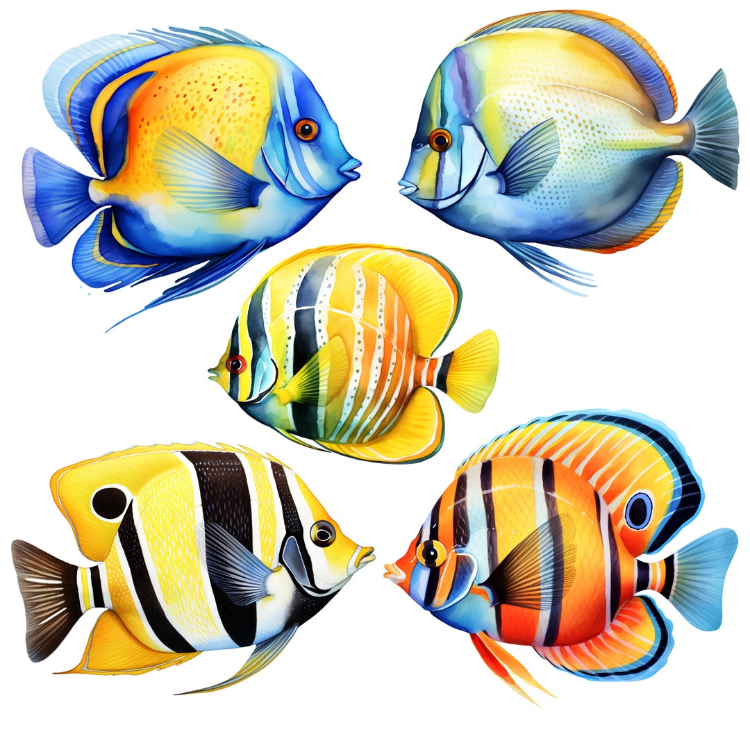 Watercolor Coral Fish Clipart, 15 High-quality PNG Files, Fish Tank ...