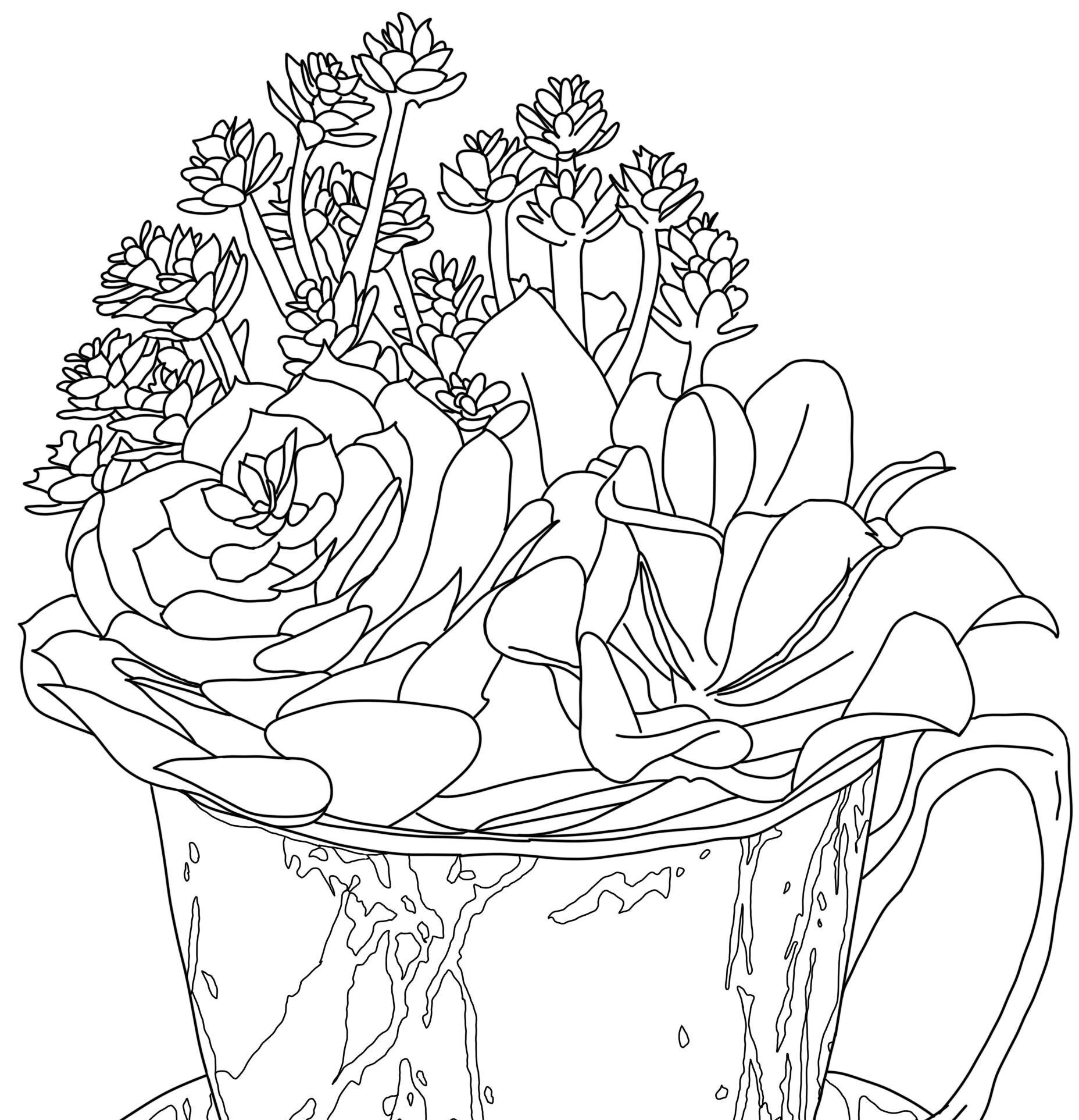 4 Page Digital Coloring Collection Featuring Teacups as Succulent ...