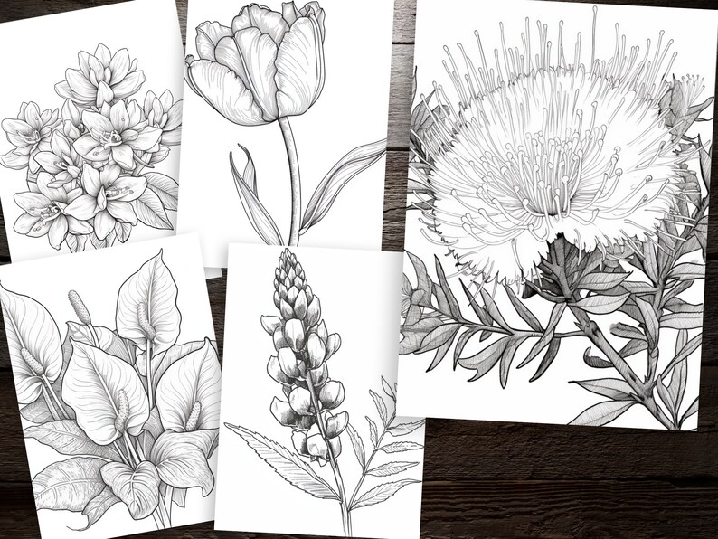 50 Botanical Flowers Coloring Book Pages for Adult, PDF Format, Instant ...