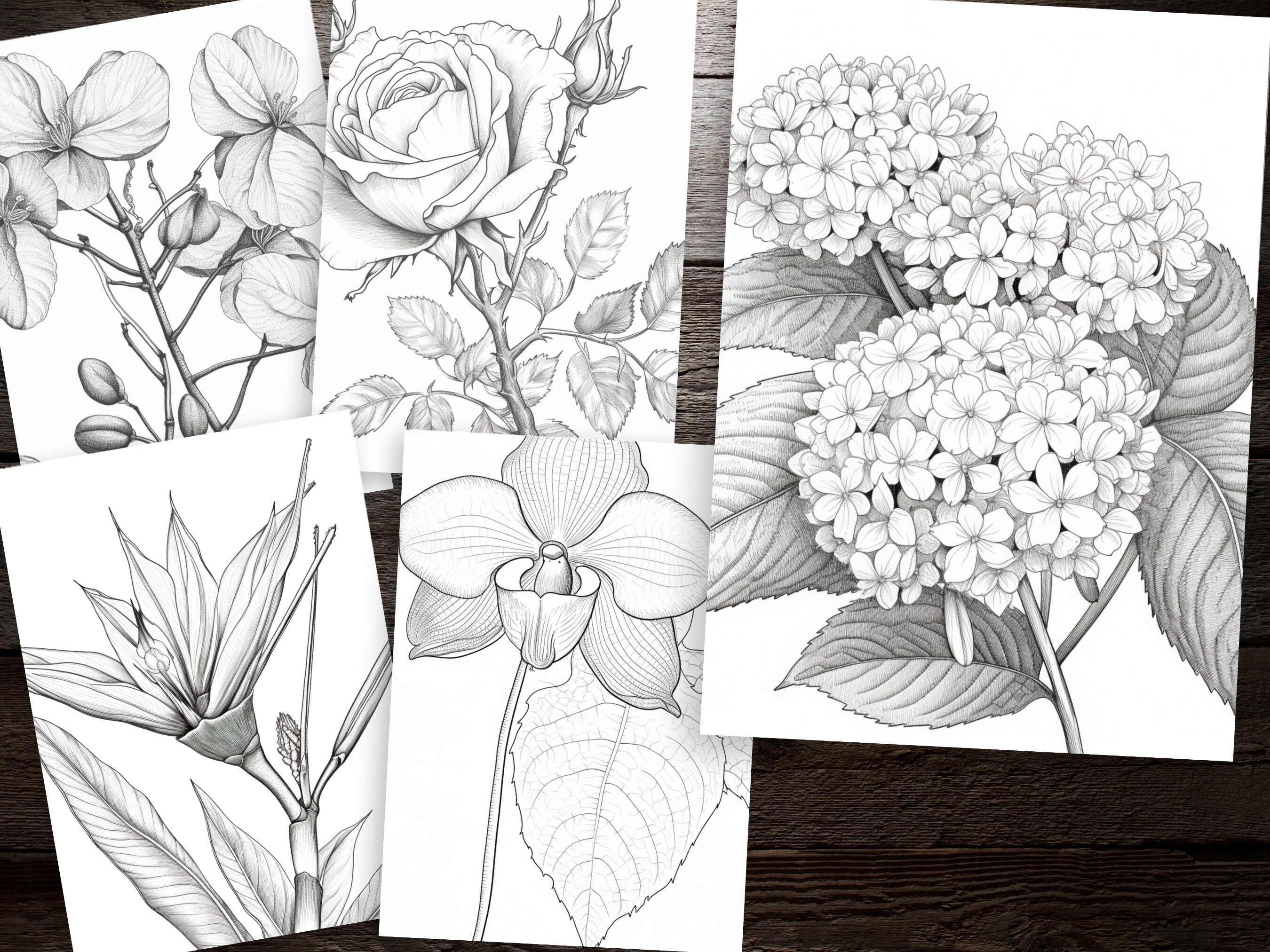 50 Botanical Flowers Coloring Book Pages for Adult, PDF Format, Instant ...