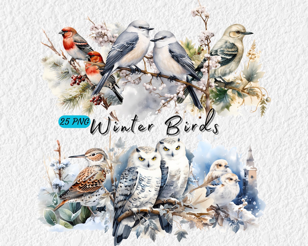 Charming Winter Birds Clipart, Watercolor Whimsical Winter Bird Art ...