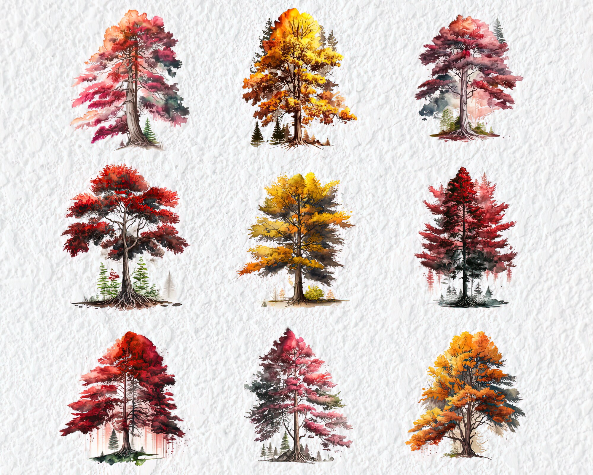 Redwood Tree Clipart, Watercolor Forest, Nature Lover, Wood Clipart ...