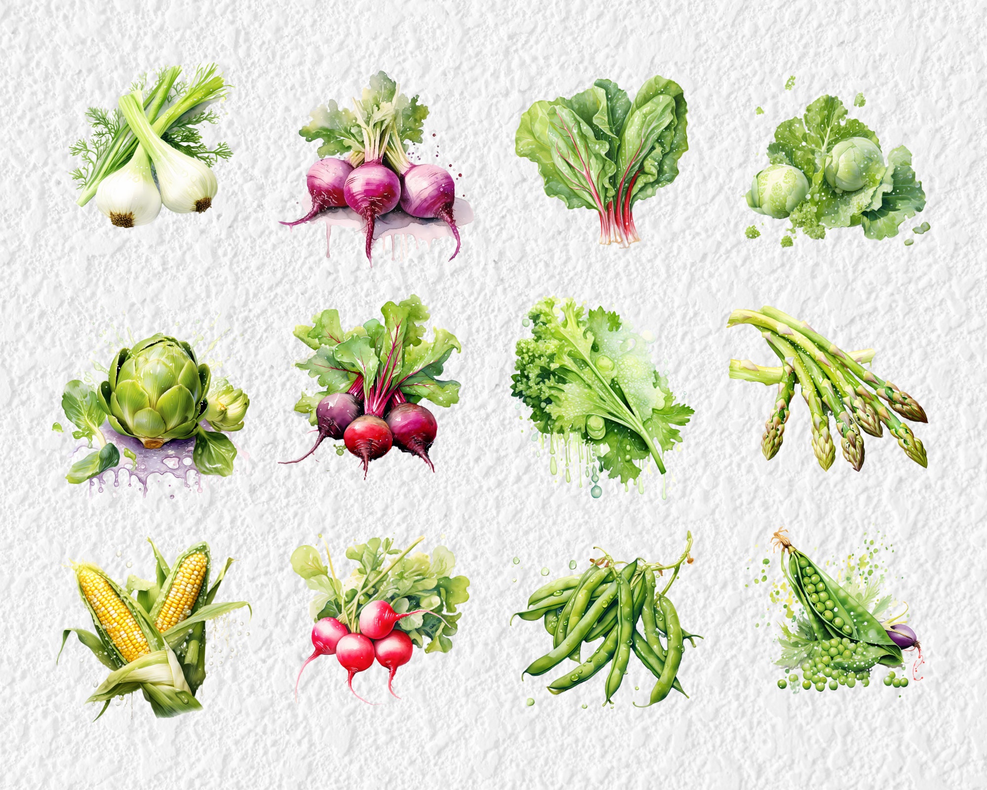 30 PNG Fresh Vegetables Clipart Watercolor Green Food & Drinks Digital ...