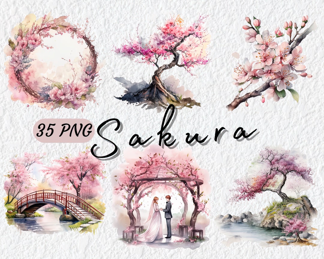 35 PNG Sakura Watercolor Clipart Cherry Blossom Floral - Etsy
