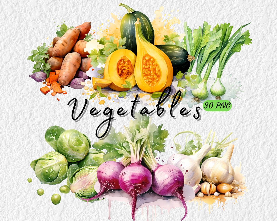 30 PNG Fresh Vegetables Clipart Watercolor Green Food & Drinks Digital ...