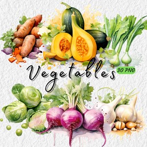 30 PNG Fresh Vegetables Clipart Watercolor Green Food & Drinks Digital ...