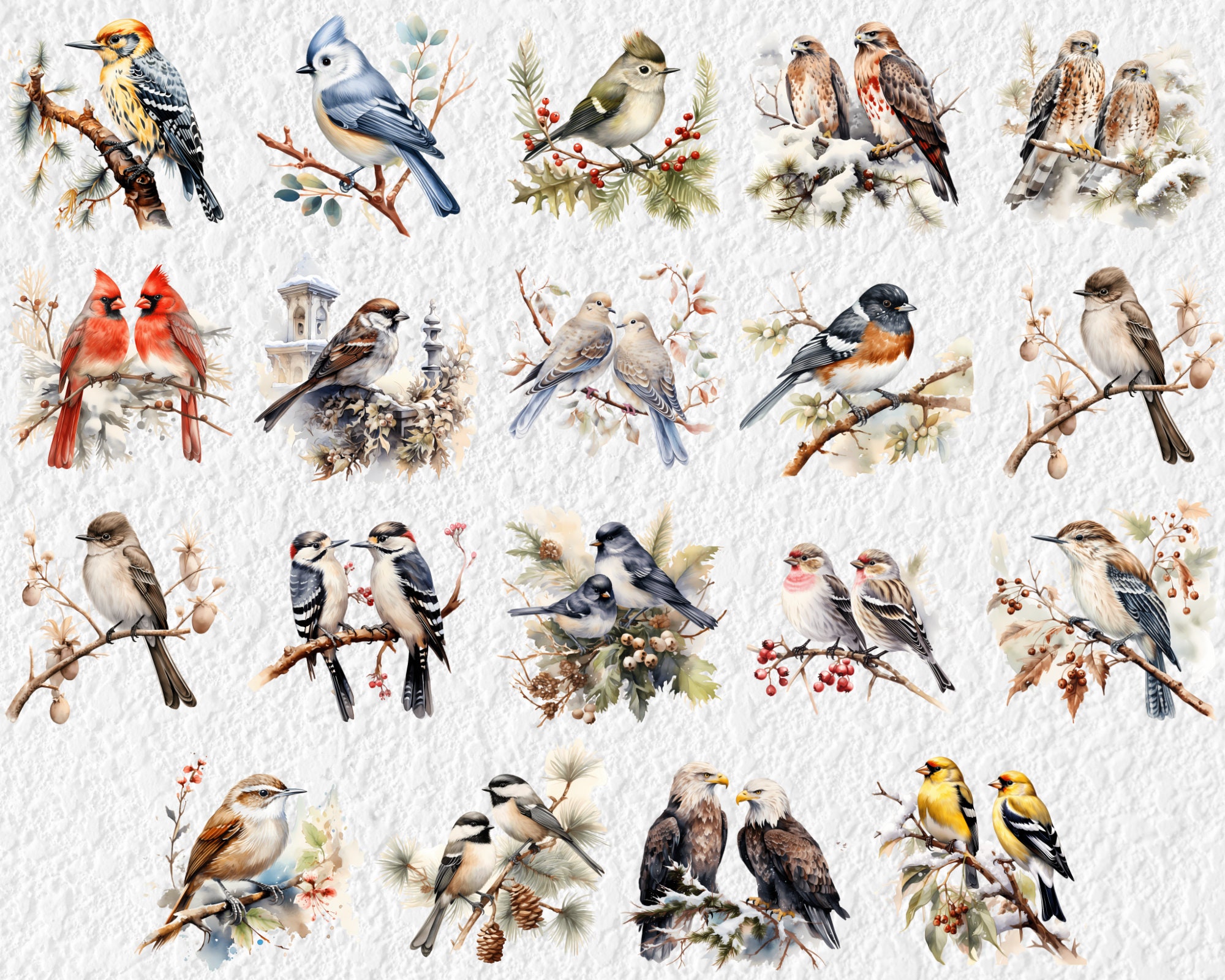 Charming Winter Birds Clipart, Watercolor Whimsical Winter Bird Art ...