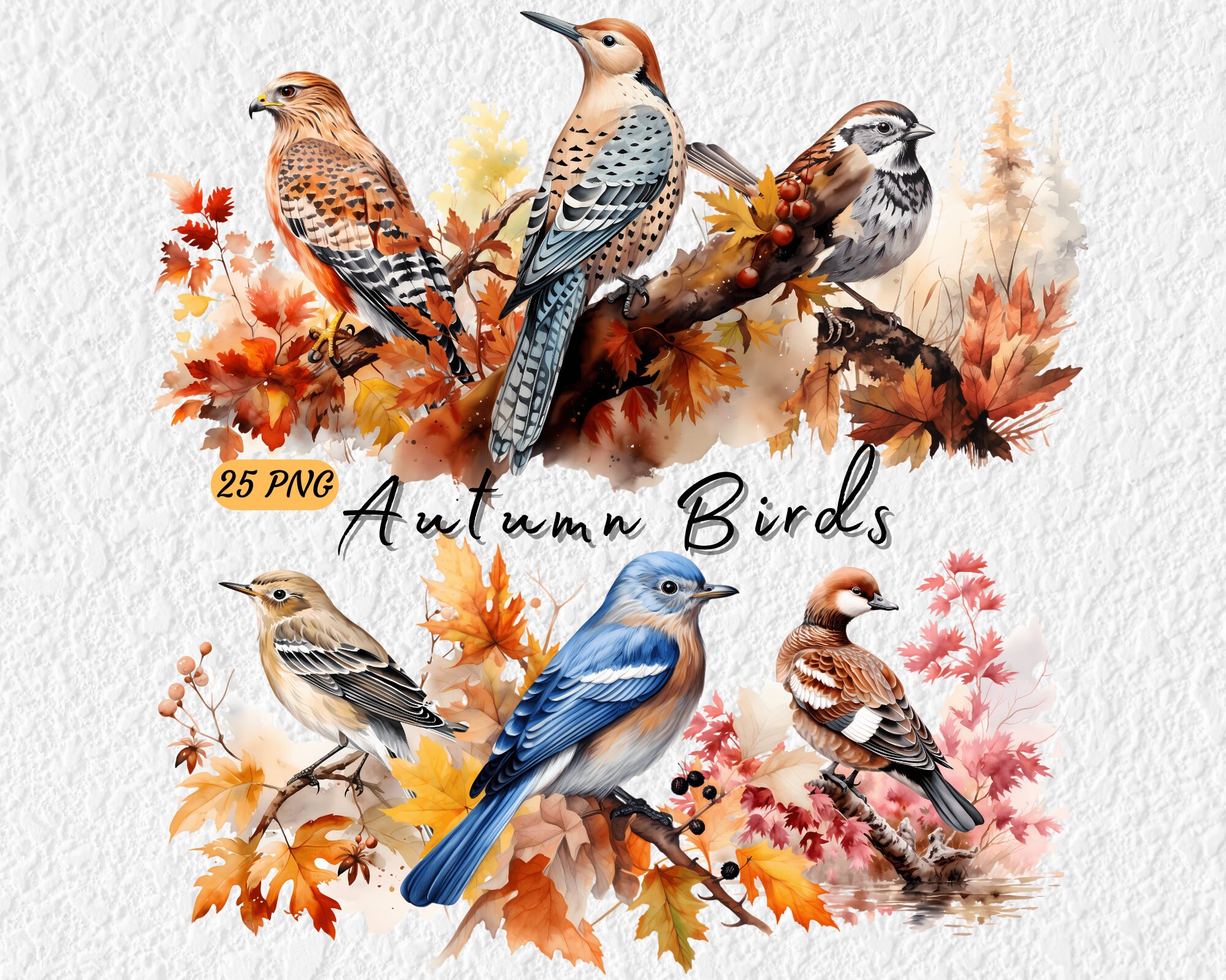 Charming Autumn Bird Clipart, Watercolor Whimsical Autumn Bird Art ...