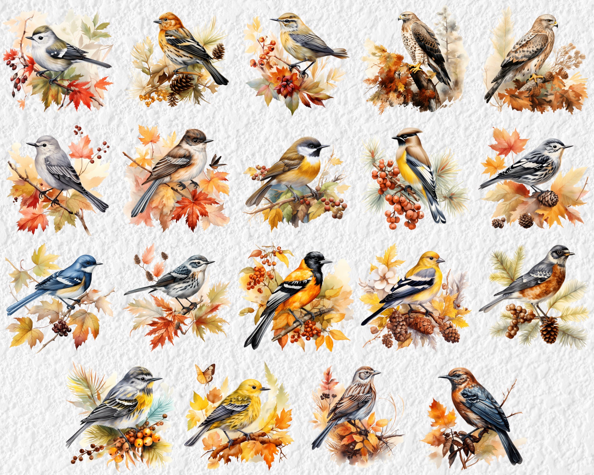 Charming Autumn Bird Clipart, Watercolor Whimsical Autumn Bird Art ...