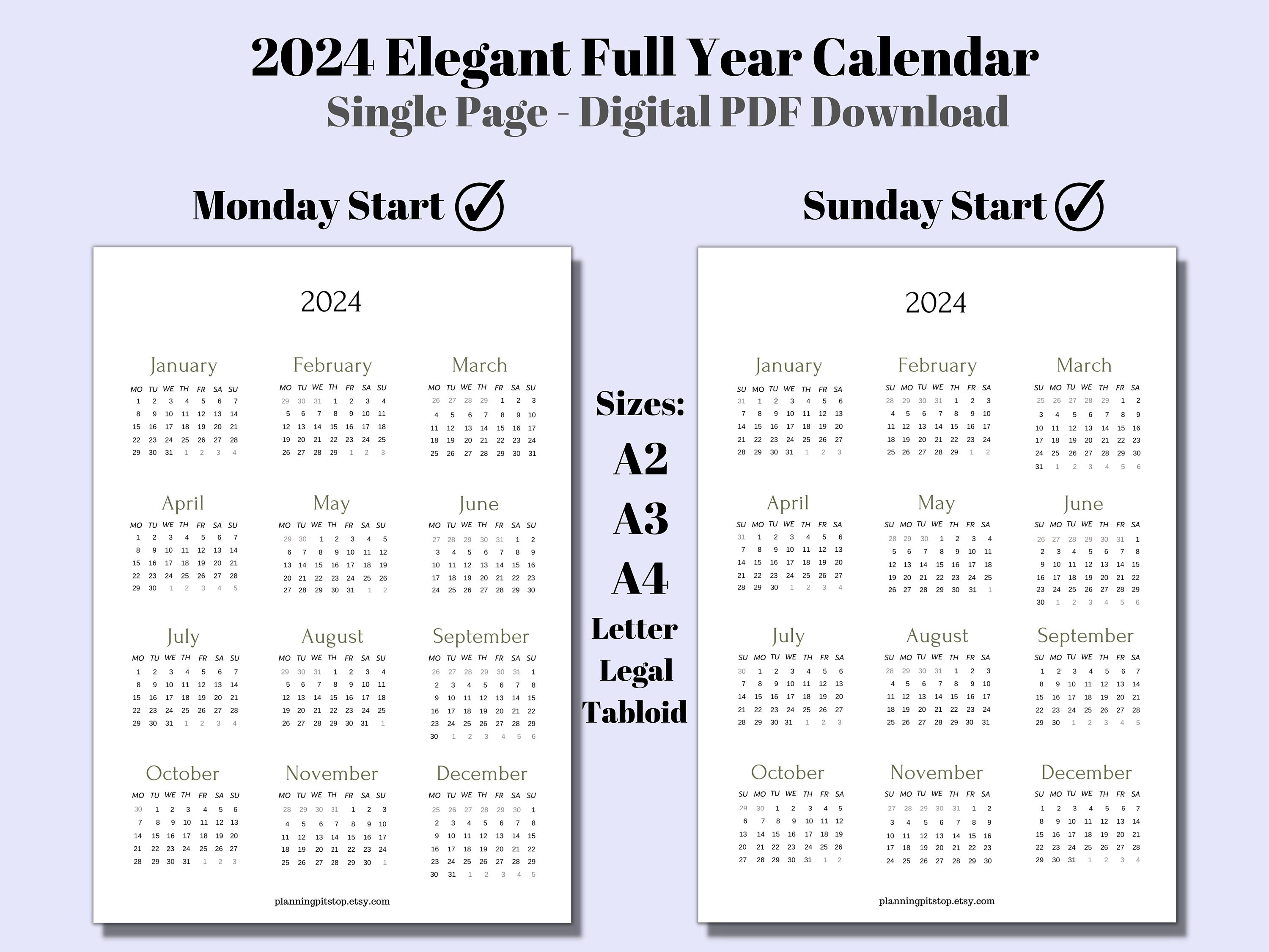 2024 Elegant Full Year Calendar Digital PDF Download Sunday - Etsy