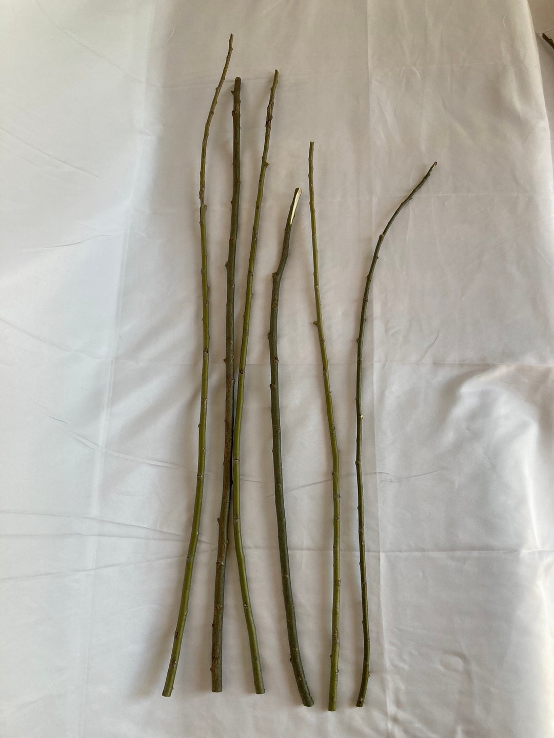 Set of 6 Willow Rods for BDSM and Punishment, Lengths From 75 Cm to 90 ...