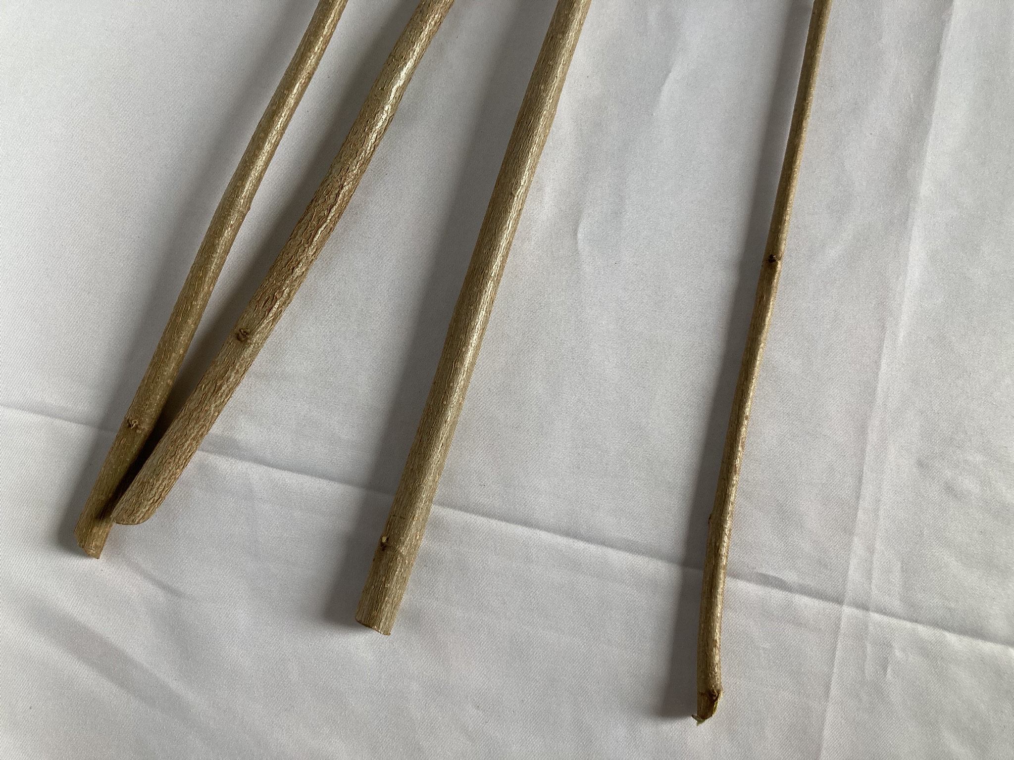4 Hazelnut Rods for BDSM Simple and Light Hazelnut Whips - Etsy