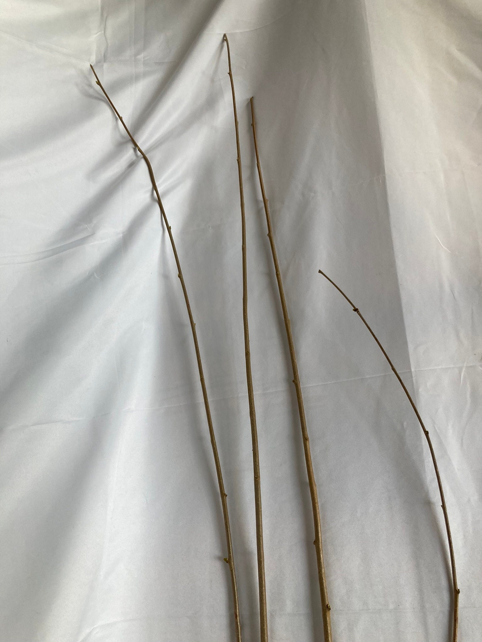 4 Hazelnut Rods for BDSM Simple and Light Hazelnut Whips - Etsy