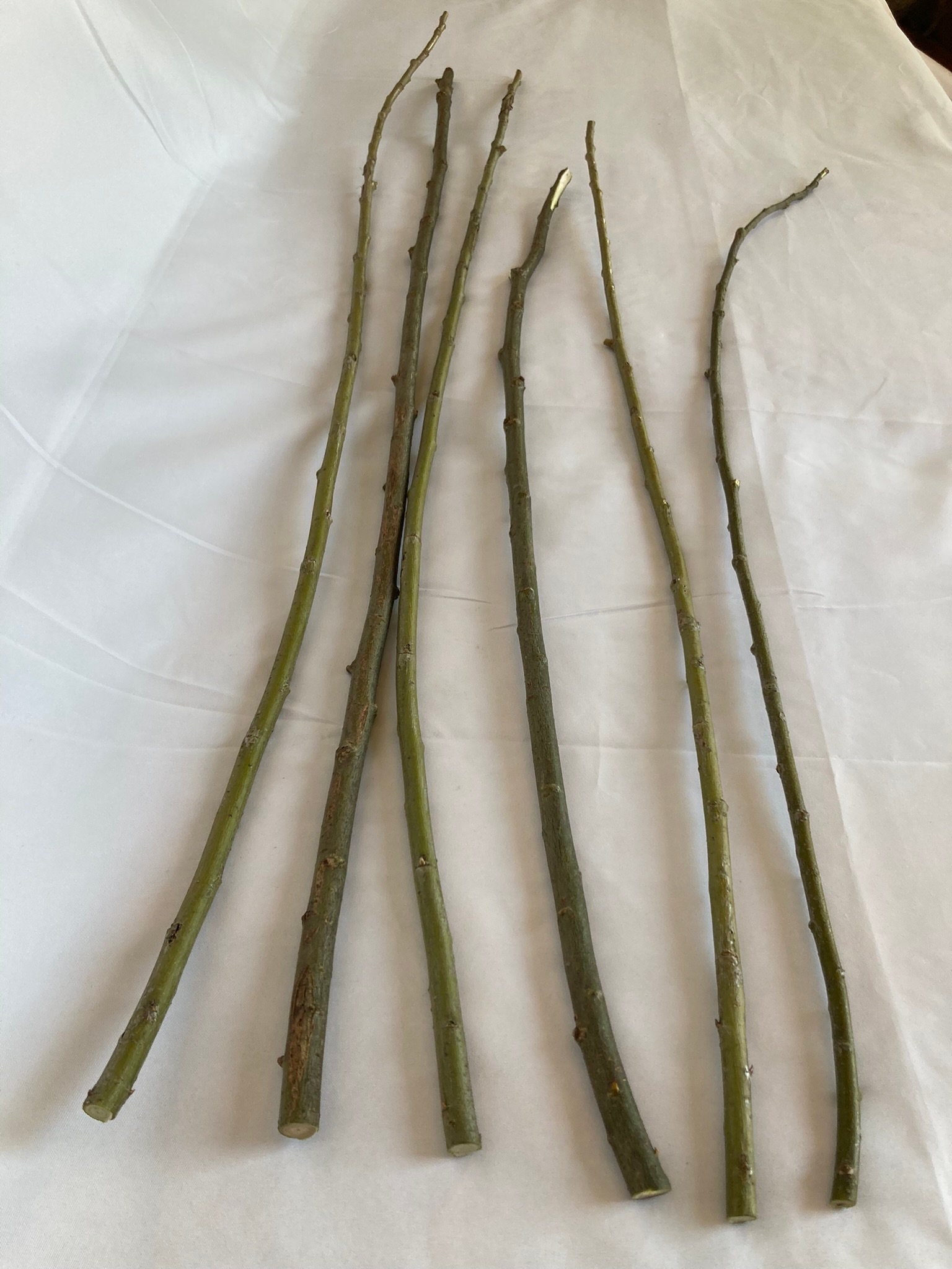 Set of 6 Willow Rods for BDSM and Punishment, Lengths From 75 Cm to 90 ...