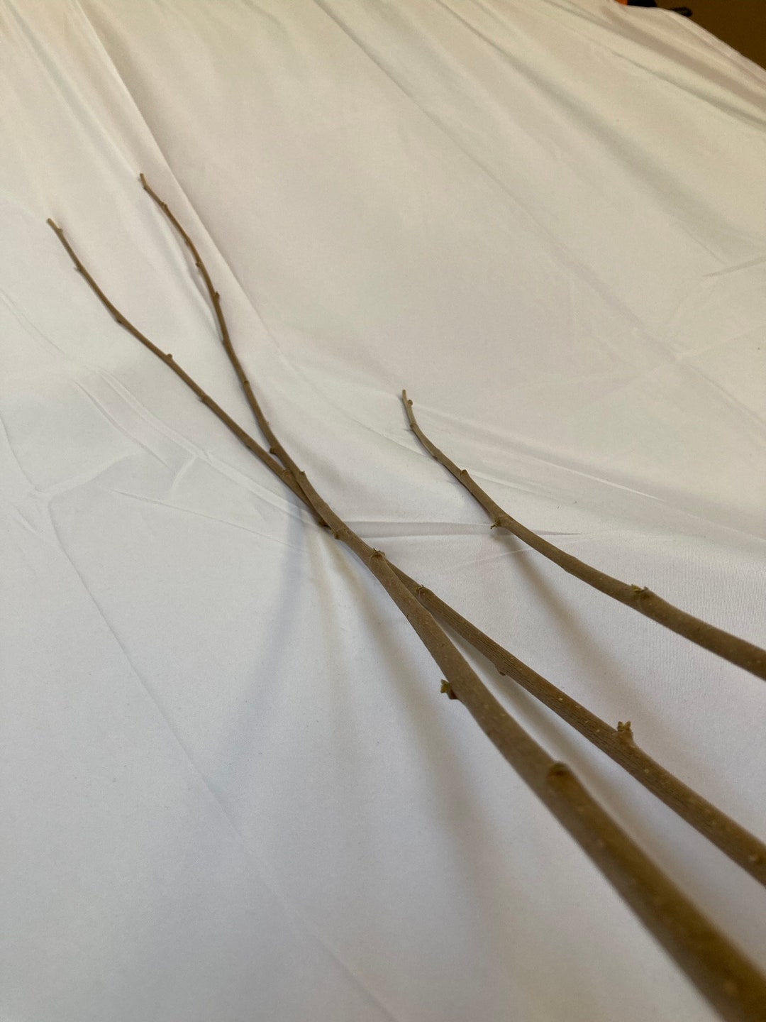 4 Hazelnut Rods for BDSM Simple and Light Hazelnut Whips - Etsy