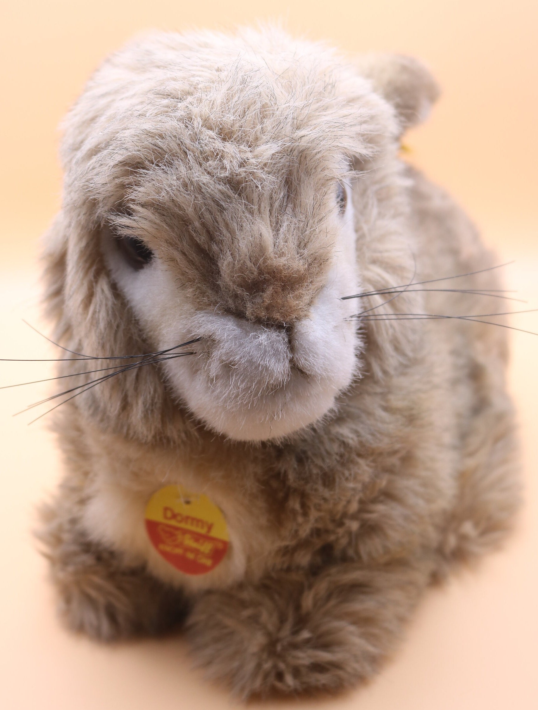 Steiff Dormy Rabbit - Etsy UK