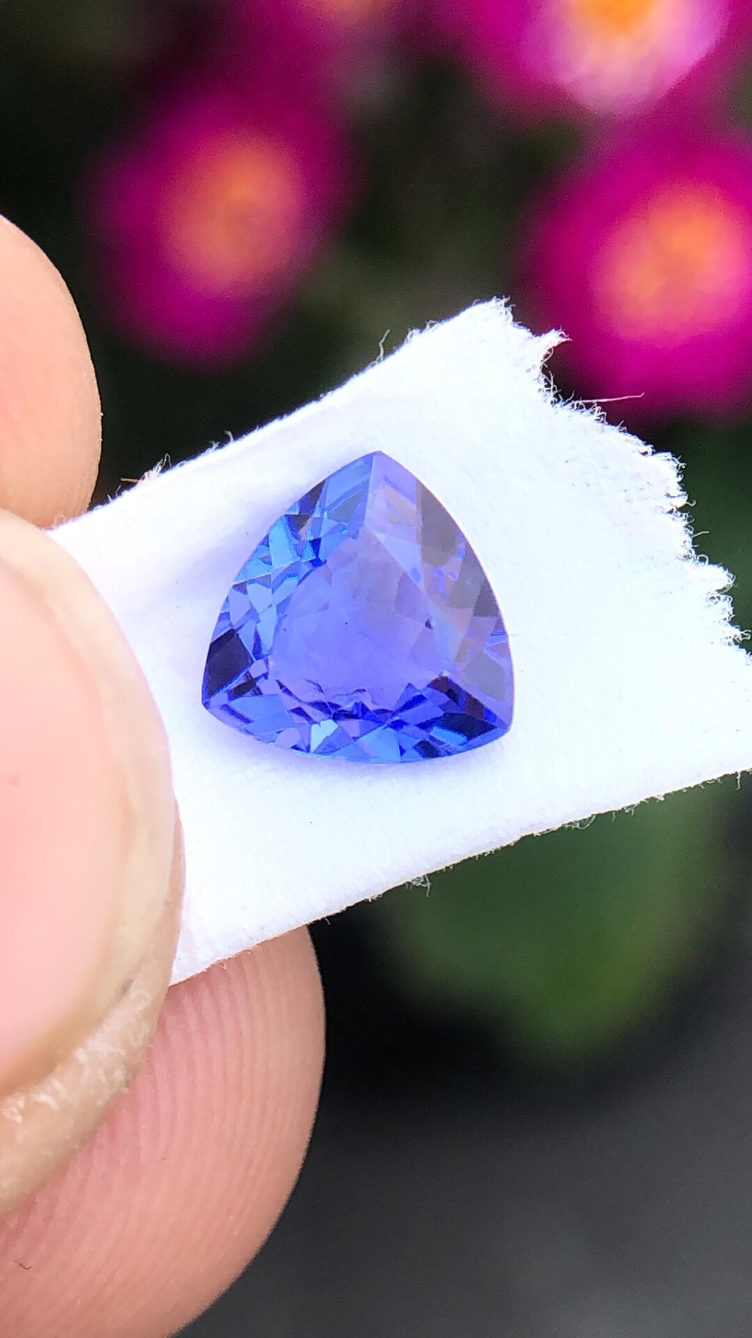 1.50 Carats Natural Tanzanite Trillion, Loose Tanzanite, Blue Zoisite, Zoisite Trillion ...