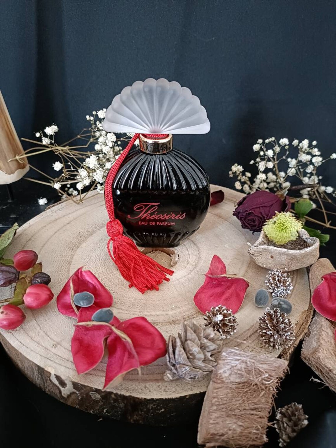 Theosiris Guy Bouchara Eau De Parfum 50 Ml - Etsy
