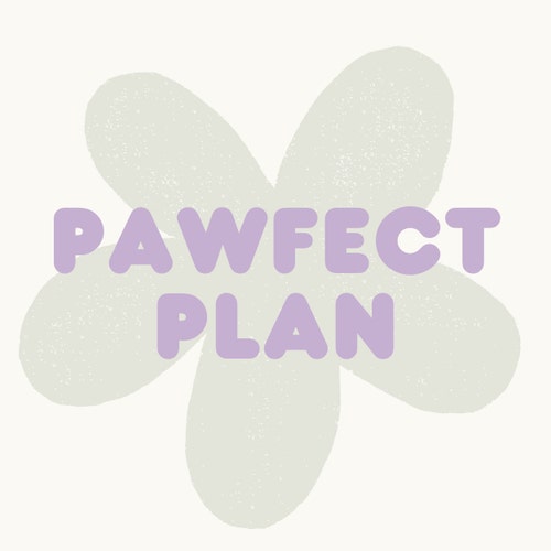 PawfectPlan - Etsy