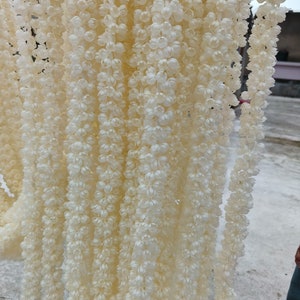 Flower Nikah Pardha, Islamic Wedding Pakistani Bride Groom Partition ...