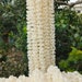 Flower Nikah Pardha, Islamic Wedding Pakistani Bride Groom Partition ...