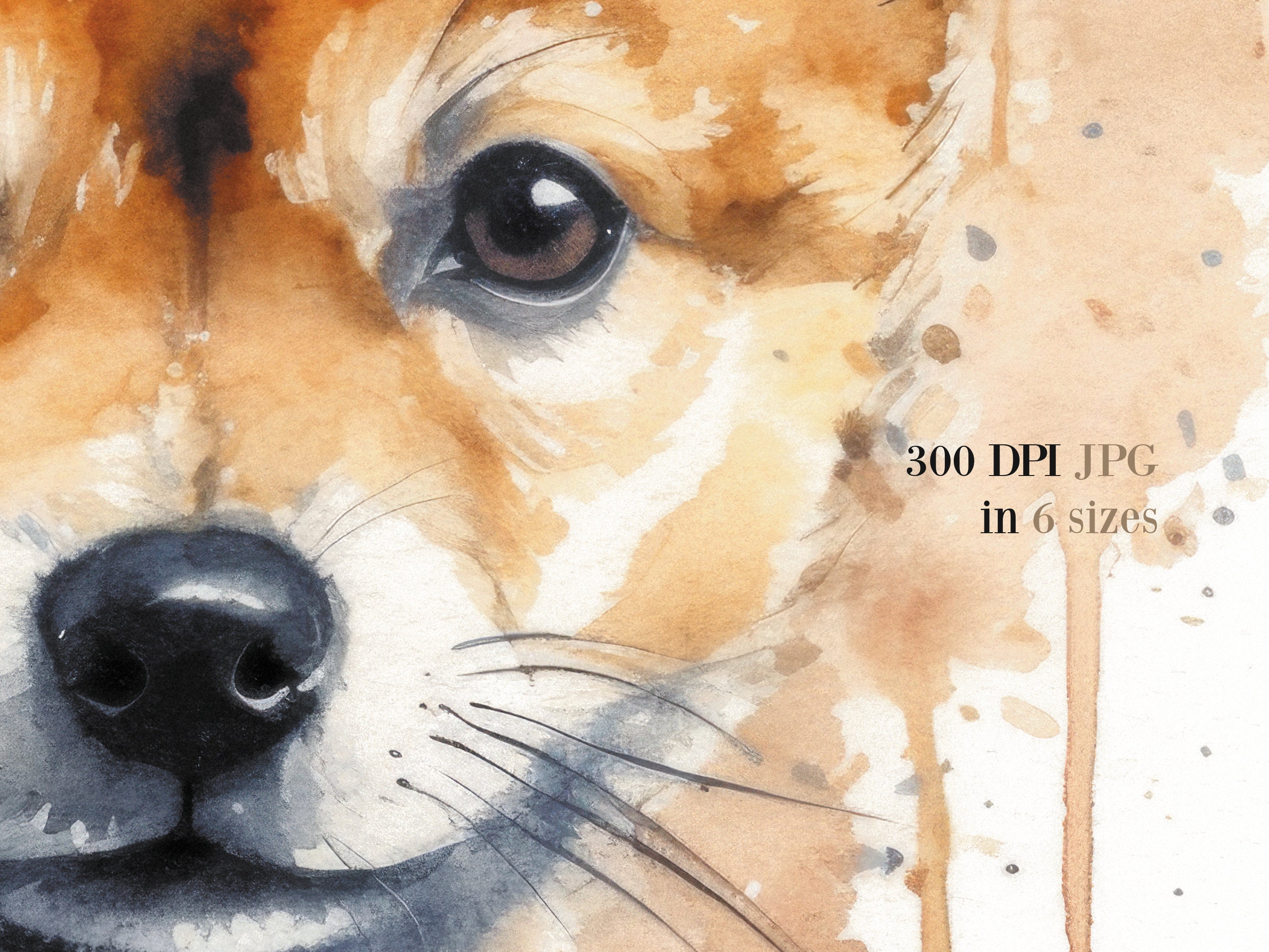 Baby Shiba Inu Watercolor Print, "hachi", 300 Dpi, Cute Doggo, Doge ...
