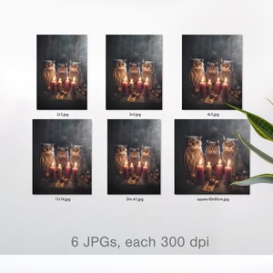 Ominous Cat Ritual Poster - Digital Print, It's Play Time, Human, 3 ...