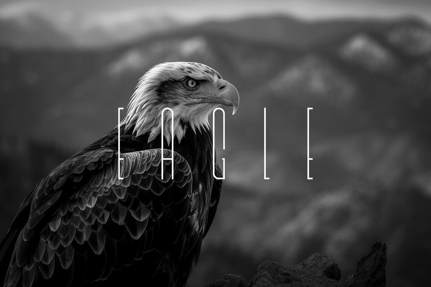 Sniper Font - Thin Tall Font, Modern Font, Long Font, Condensed Font ...