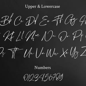 Ballison Chic Signature Font - Handwriting Font, Calligraphy Font ...