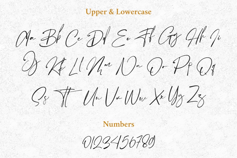 Ballison Chic Signature Font Handwriting Font, Calligraphy Font, Modern ...