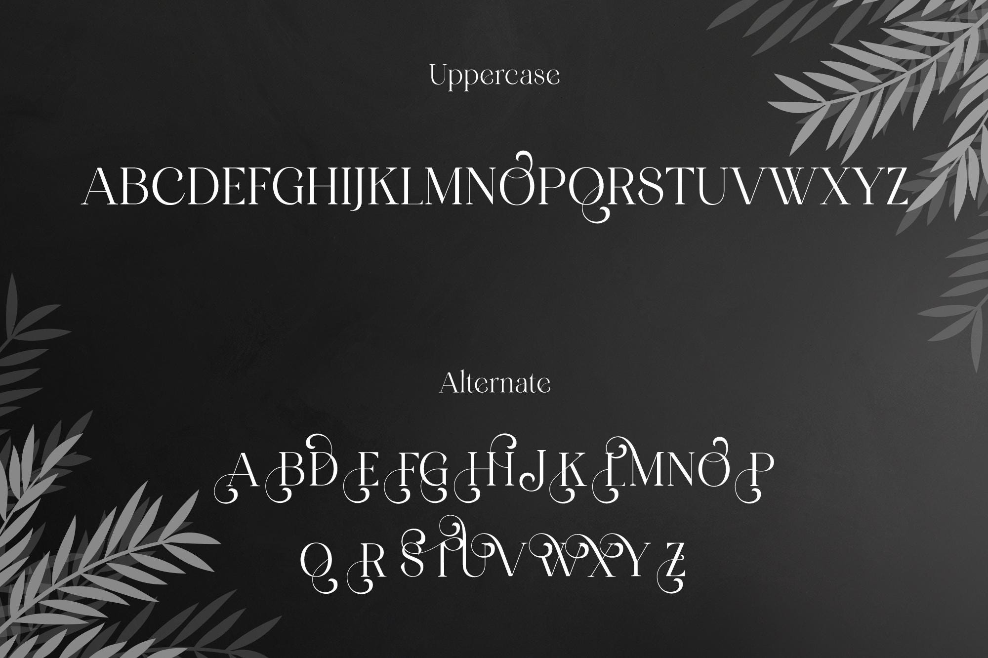 Wedding - Canva Font, Cricut Font, Wedding Invitation Font, Logo Font ...