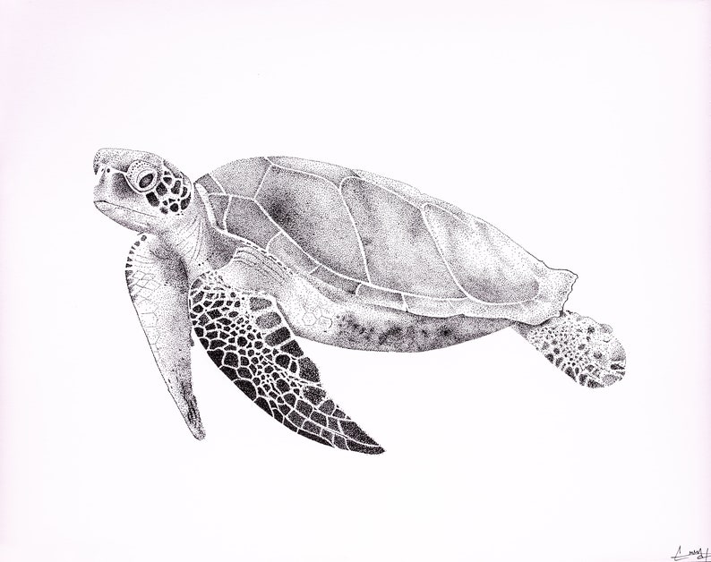 Sea Turtle Print - Etsy