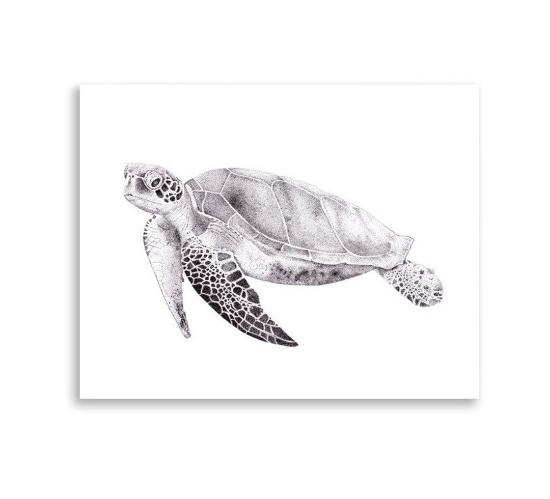 Sea Turtle Print - Etsy