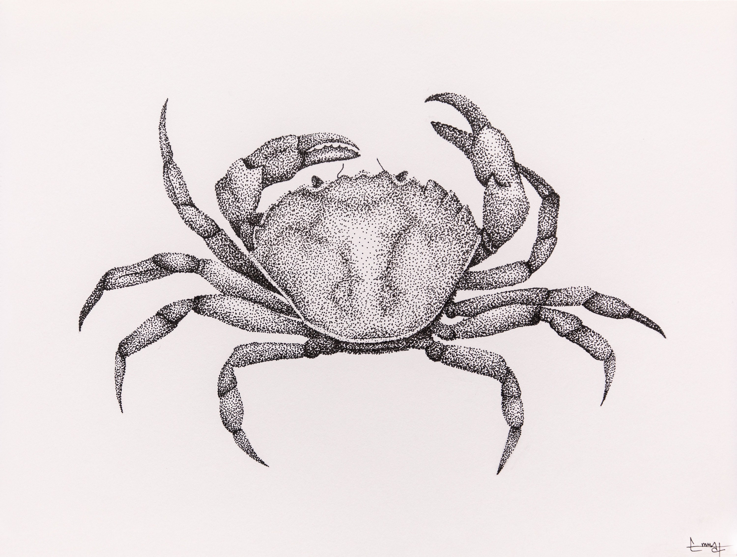 Pointillism Crab Print - Etsy
