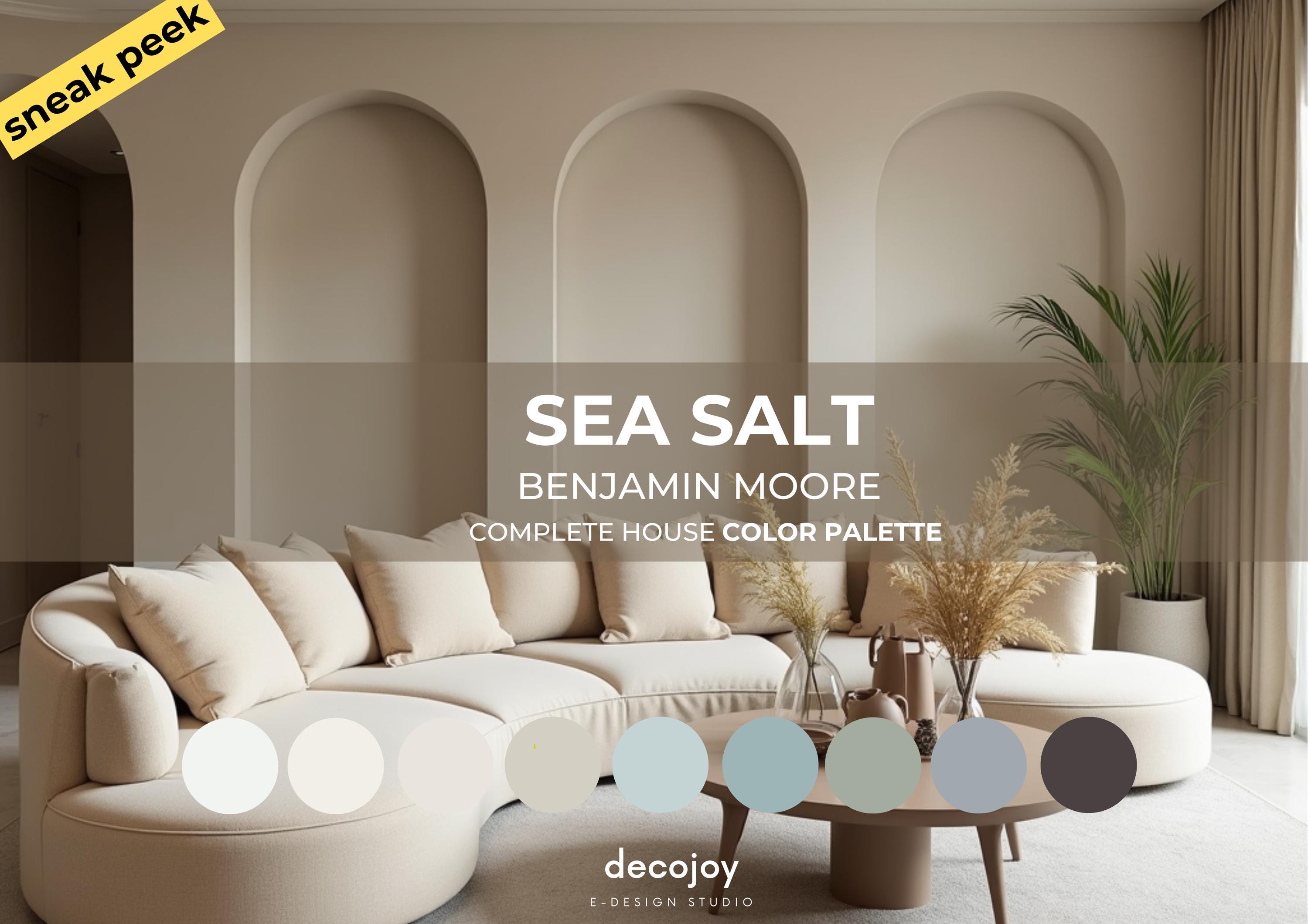 Sea Salt Benjamin Moore Paint Palette: Modern Home Color Scheme ...