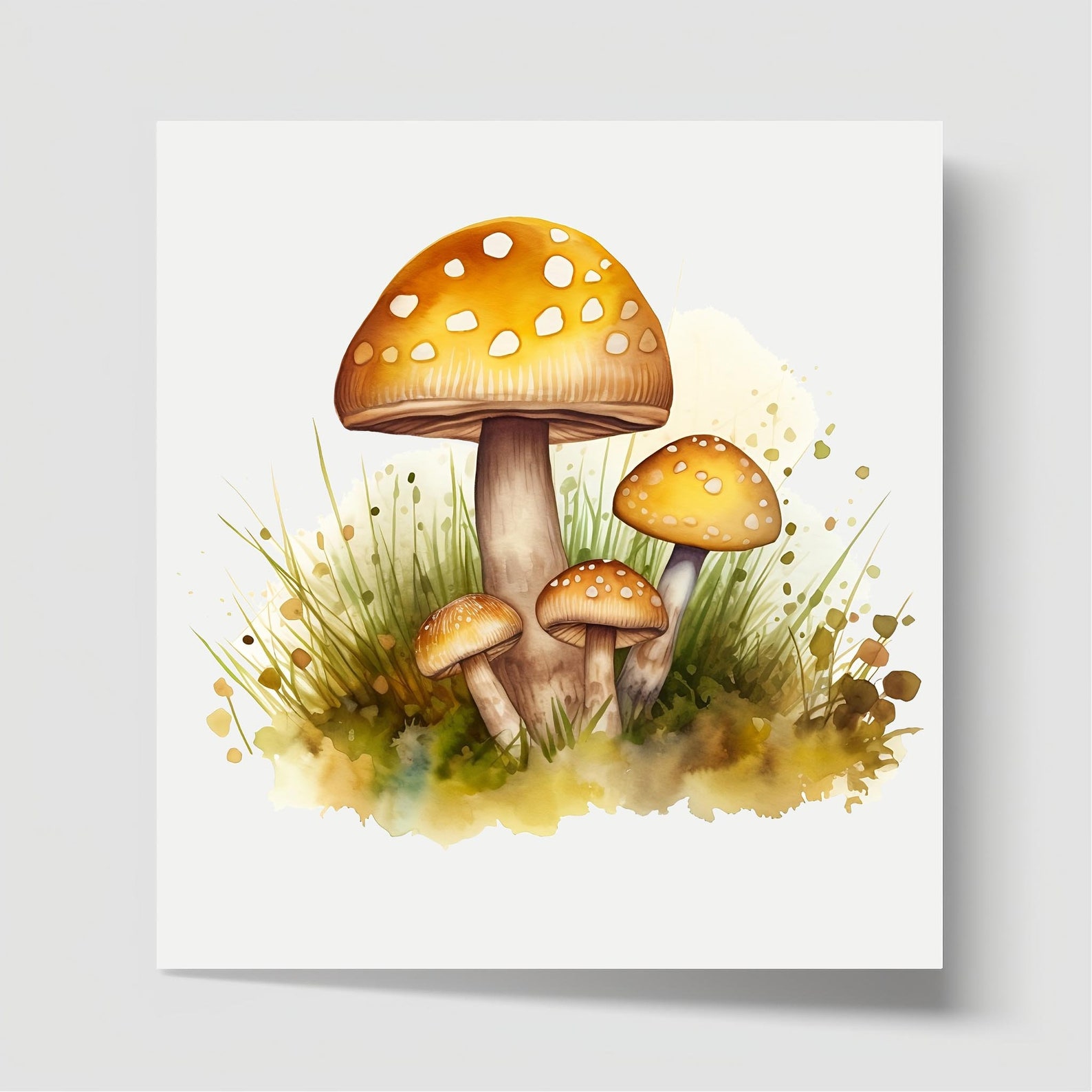 16 Mushroom Watercolor Clipart Watercolor Forest Mushrooms - Etsy