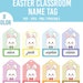 Easter Bunny Classroom Name Tags | Printable Labels (PDF) - Etsy