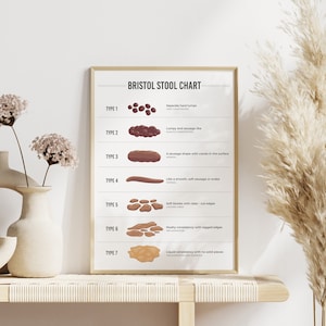 The Bristol Stool Chart | Lab Wall Art | Laboratory Specialist | A ...